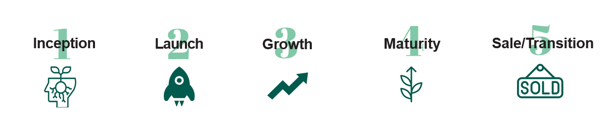 The Business Life Cycle: supporting transformative growth - Siegfried ...